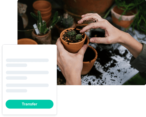 Domain Names - Find Your Perfect Domain Name - DreamHost