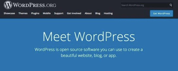 How Much Does It Cost to Set Up a WordPress Website? - DreamHost