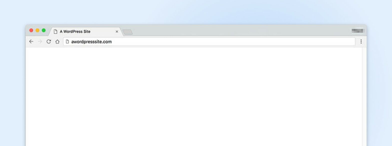 18 Common WordPress Errors (And How To Fix Them) - DreamHost