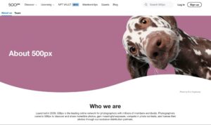 How to Create the Perfect About Us Page - DreamHost