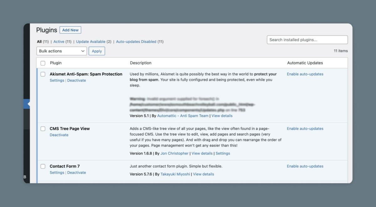 Your Full Introduction to WordPress Plugins – Bizagility