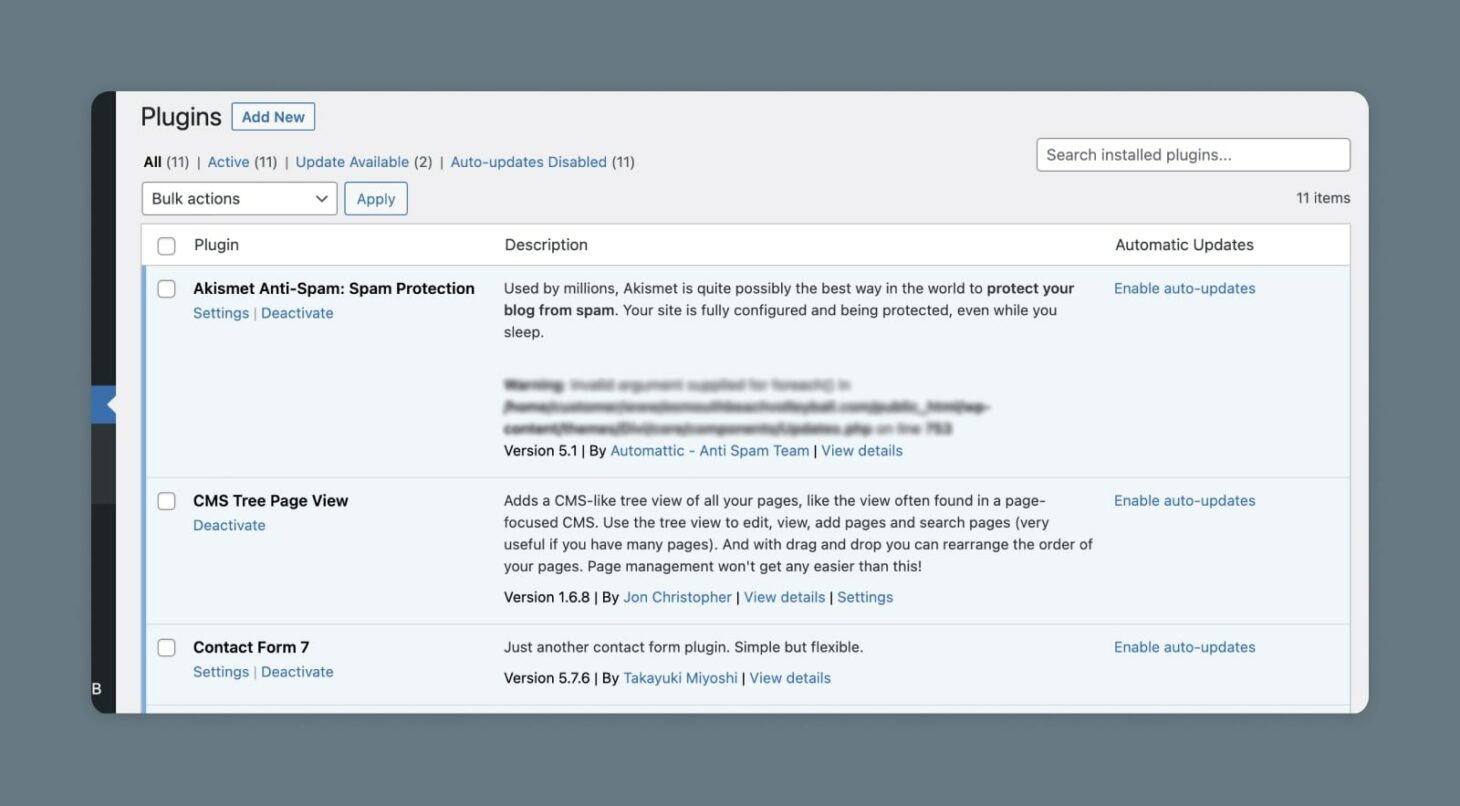 Your Full Introduction to WordPress Plugins – Bizagility