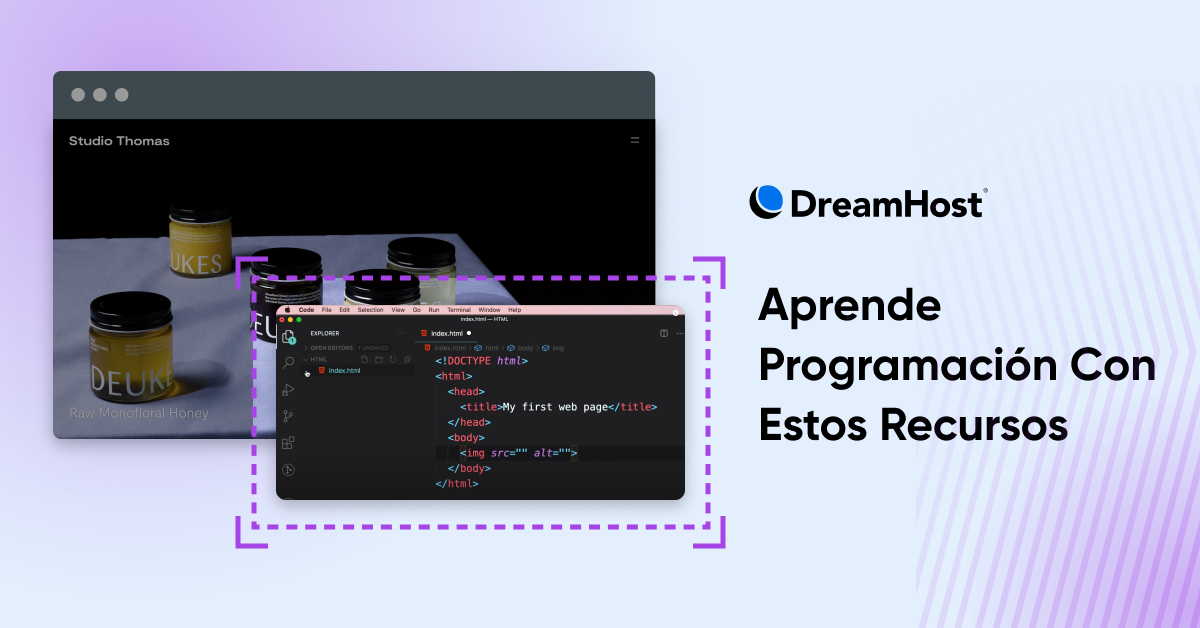 Aprende a Programar con Estos Recursos en Línea - DreamHost