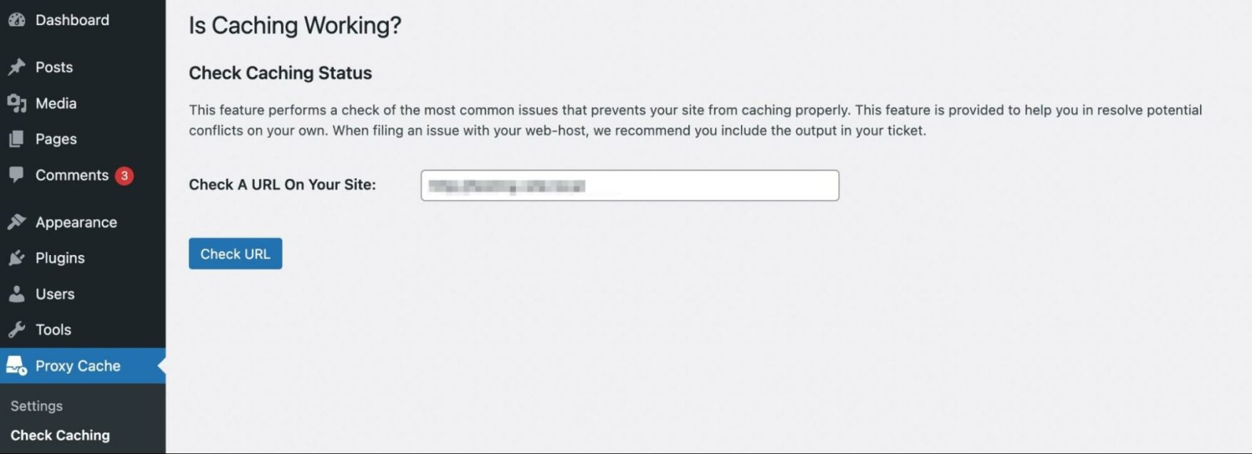 Everything You Need to Know About Website Caching - DreamHost