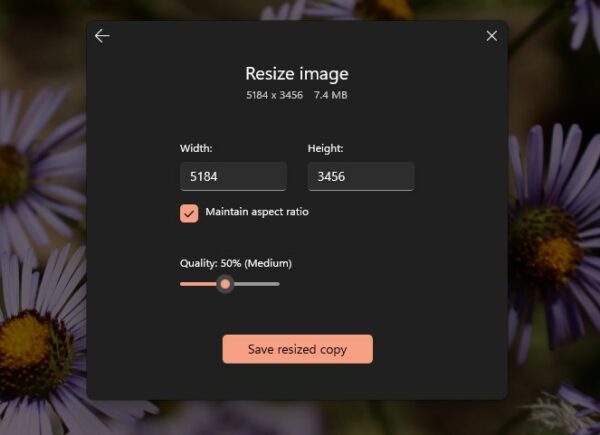 How to Optimize Images for Web - DreamHost