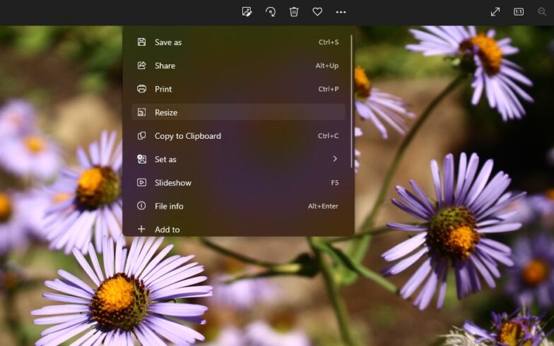 How to Optimize Images for Web - DreamHost