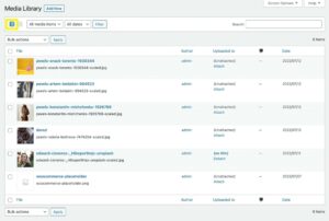Decoding WordPress: The Media Library - DreamHost
