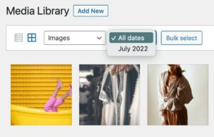 Decoding WordPress: The Media Library - DreamHost
