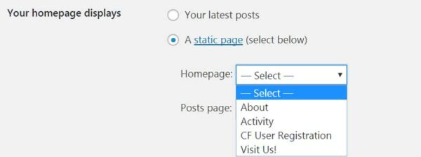 Guide to the WordPress Homepage (Front Page) - DreamHost