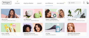 12 Important Navigation Menu Design Tips - DreamHost
