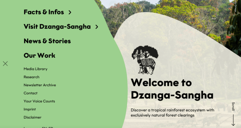 12 Important Navigation Menu Design Tips - DreamHost