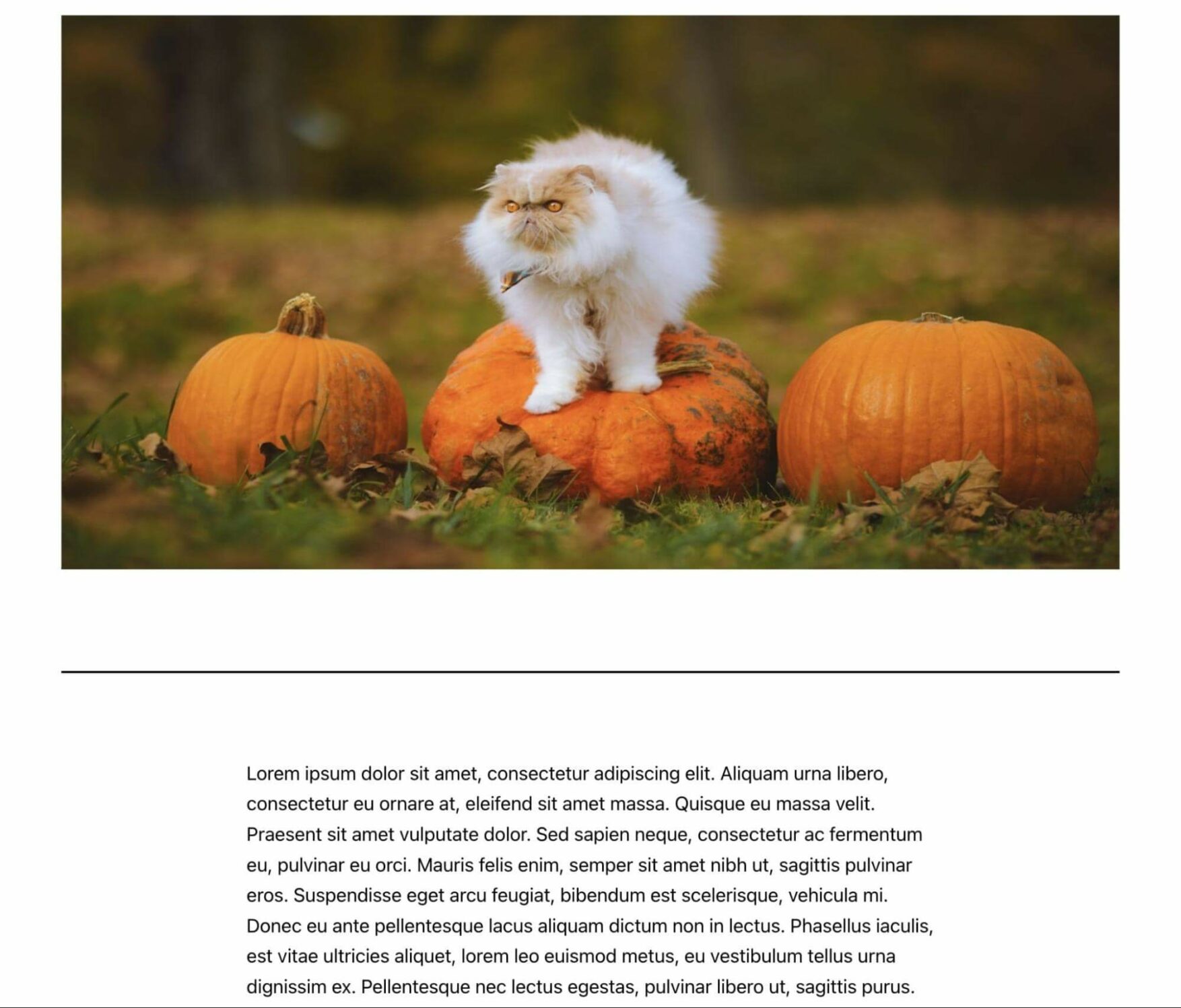 How to Create the Perfect WordPress Featured Image (Sizing & Design ...