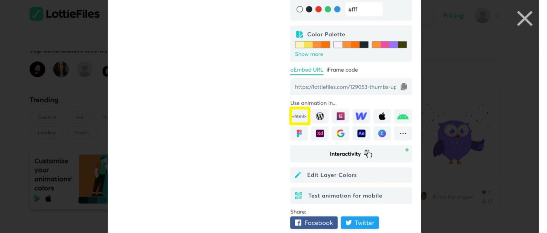 How to Add Lottie Animations to Your Site (3 Ways) - DreamHost