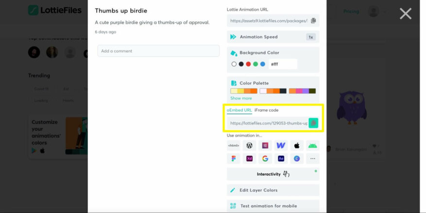 How to Add Lottie Animations to Your Site (3 Ways) - DreamHost